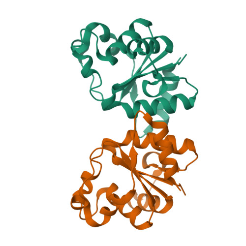 RCSB PDB - 8D0J: Apo Human SARM1 TIR domain