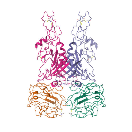 RCSB PDB - 8D1B: CryoEM structure of human orphan GPCR GPR179 in ...