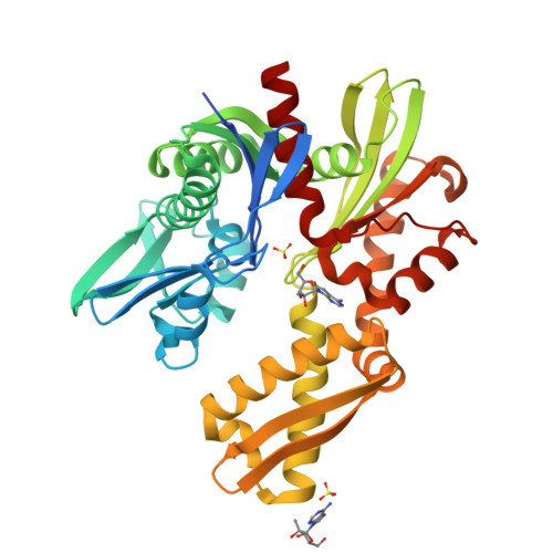 RCSB PDB - 8D1P: Crystal structure of Plasmodium falciparum GRP78-NBD ...