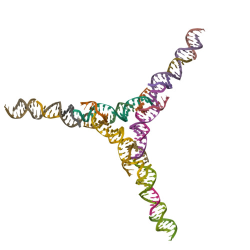 RCSB PDB - 8D31: [AG/TC] Self-Assembled 3D DNA Cubic Tensegrity ...