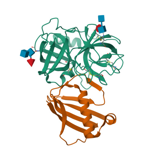 RCSB PDB - 8D4Q: Crystal Structure of Neutrophil Elastase Inhibited by ...