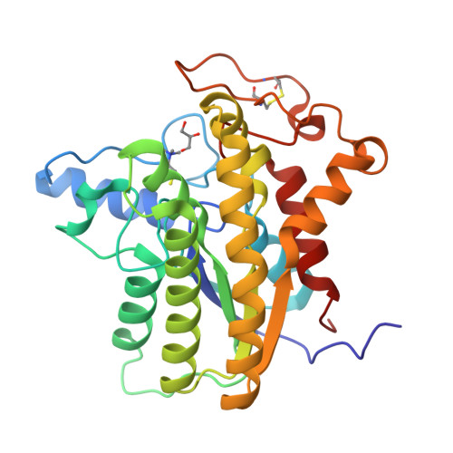 RCSB PDB - 8D8Z: Crystal structure of ChoE N147A mutant in complex with ...