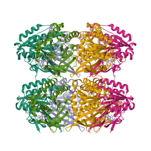 RCSB PDB - 8DB3: Crystal structure of KaiC with truncated C-terminal ...