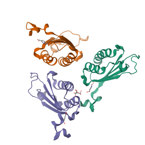 RCSB PDB - 8DBB: Crystal structure of DDT with the selective inhibitor ...