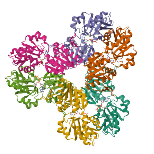 RCSB PDB - 8DBN: Human PRPS1-E307A engineered mutation with Phosphate ...