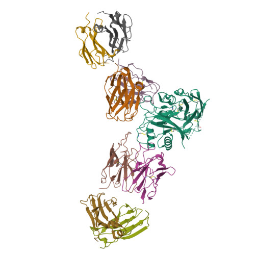 RCSB PDB - 8DBZ: CryoEM structure of Hantavirus ANDV Gn(H) protein ...