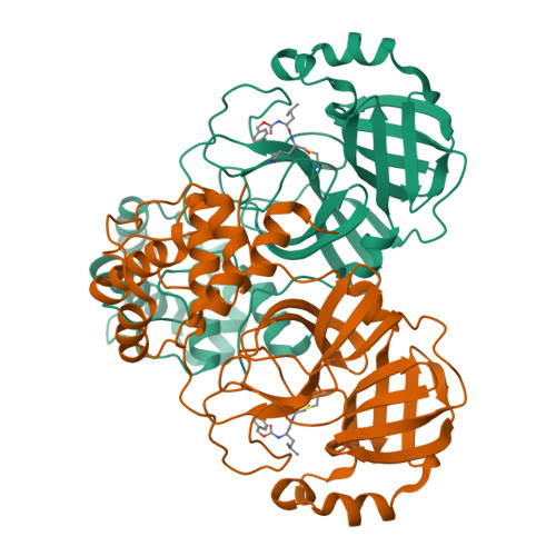 RCSB PDB - 8DD1: SARS-CoV-2 Main Protease (Mpro) H164N Mutant in ...