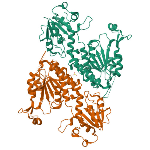 RCSB PDB - 8DDA: Crystal structure of human aminoadipate semialdehyde ...
