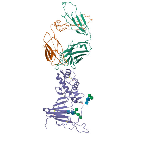 RCSB PDB - 8DDK: CCHFV GP38 Hoti/Kosovo bound with CC5_17