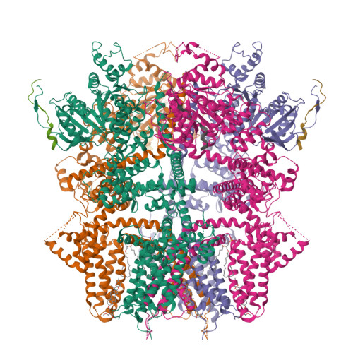 RCSB PDB - 8DDR: cryo-EM structure of TRPM3 ion channel in the absence ...