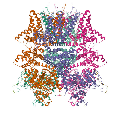 RCSB PDB - 8DDS: cryo-EM structure of TRPM3 ion channel in the presence ...