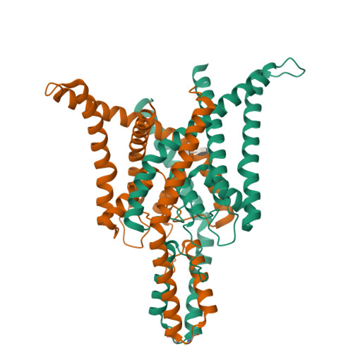 RCSB PDB - 8DE7: Cryo-EM structure of the zebrafish two pore domain K+ ...