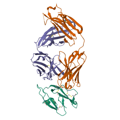 RCSB PDB - 8DFH: Crystal structure of non-neutralizing / interfering ...