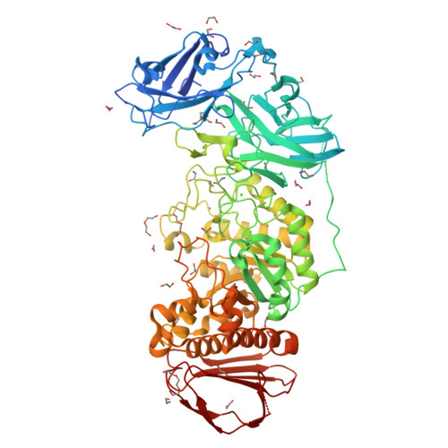 RCSB PDB - 8DGE: BoGH13ASus from Bacteroides ovatus