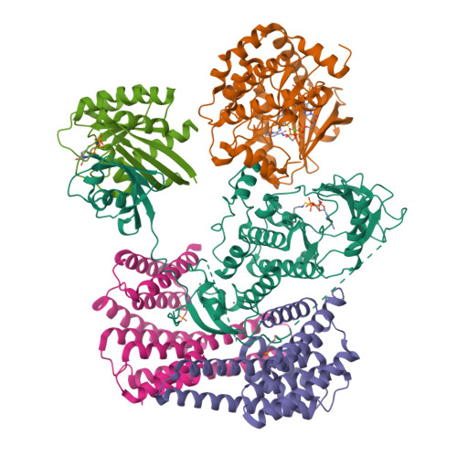 RCSB PDB - 8DGS: Cryo-EM structure of a RAS/RAF complex (state 1)
