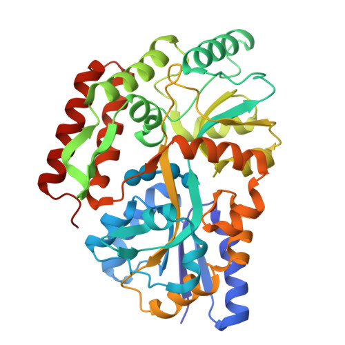 RCSB PDB - 8DHD: Neutron crystal structure of maltotetraose bound tmMBP