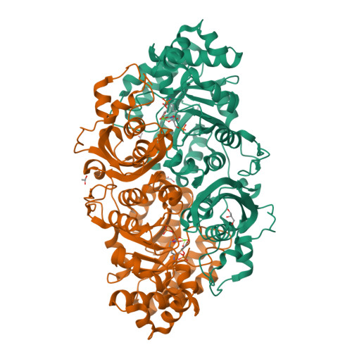 RCSB PDB - 8DHT: Crystal structure of a typeIII Rubisco