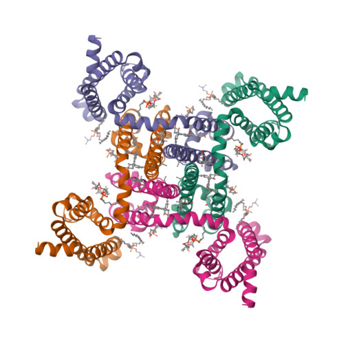 RCSB PDB - 8DJ1: Crystal structure of NavAb V126T as a basis for the ...