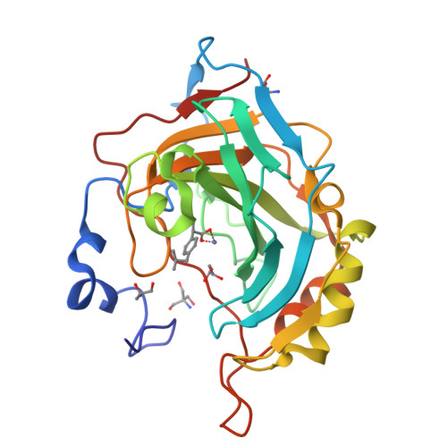 RCSB PDB - 8DJ9: Carbonic Anhydrase II in complex with Ibuprofen
