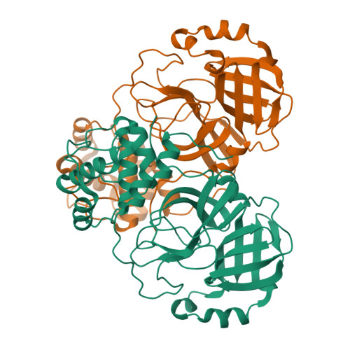 RCSB PDB - 8DJJ: Polymorphism in SARS-CoV-2 Nsp5 main protease reveals ...