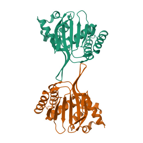 RCSB PDB - 8DLC: Crystal structure of chalcone-isomerase like protein ...