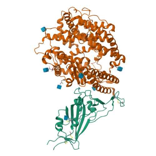 RCSB PDB - 8DLQ: Cryo-EM structure of SARS-CoV-2 Gamma (P.1) spike ...