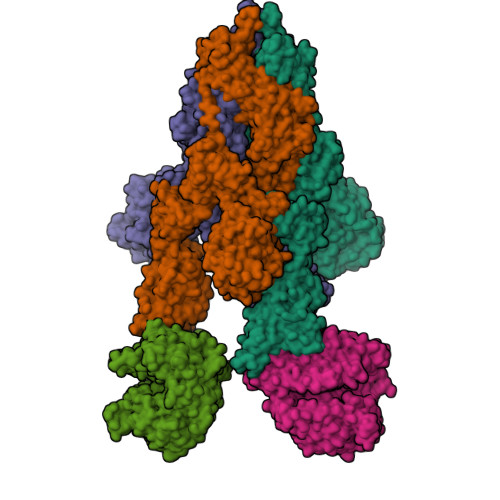 RCSB PDB - 8DLU: Cryo-EM structure of SARS-CoV-2 Epsilon (B.1.429 ...