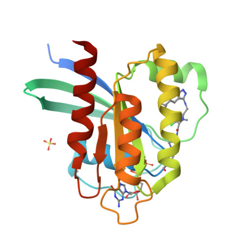 RCSB PDB - 8DNK: Crystal structure of human KRAS G12C covalently bound ...