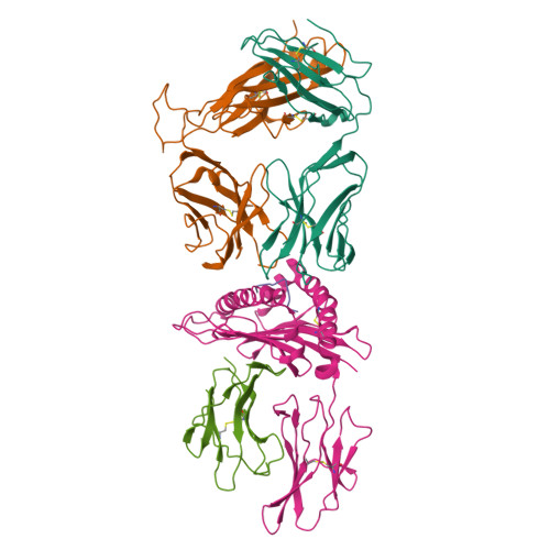 RCSB PDB - 8DNT: SARS-CoV-2 specific T cell receptor