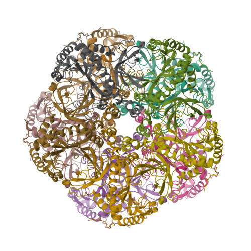 Rcsb Pdb 8dnu Human Brain Glutamine Synthetase