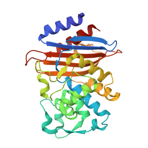 RCSB PDB - 8DOE: Crystal Structure of CTX-M-14 N106A