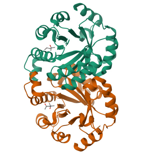 RCSB PDB - 8DOQ: Crystal structure of 2,3-diketo-5-methylthiopentyl-1 ...