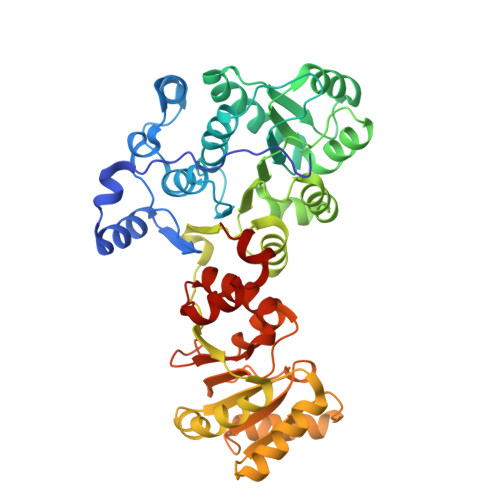 RCSB PDB - 8DPE: Crystal structure of ATP-dependent RNA helicase DDX42