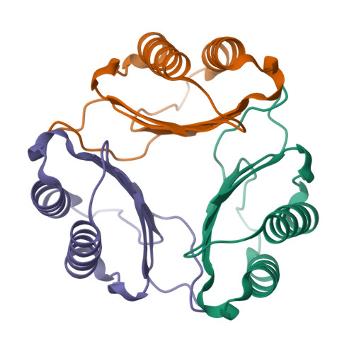 RCSB PDB - 8DQA: Structure of A. thaliana MIF/D-DT-like protein-3 (MDL3)