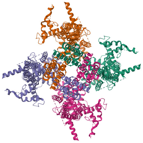RCSB PDB - 8DRP: Focus/local refined map in C4 of signal subtracted ...