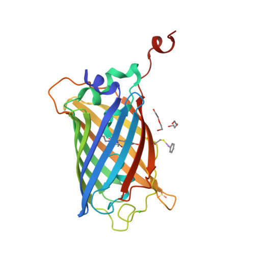 RCSB PDB - 8DTA: Metal sensitive GFP (mseGFP) complexed with ...