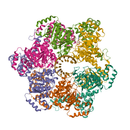 RCSB PDB - 8DTP: Close state of T4 bacteriophage gp41 hexamer bound ...