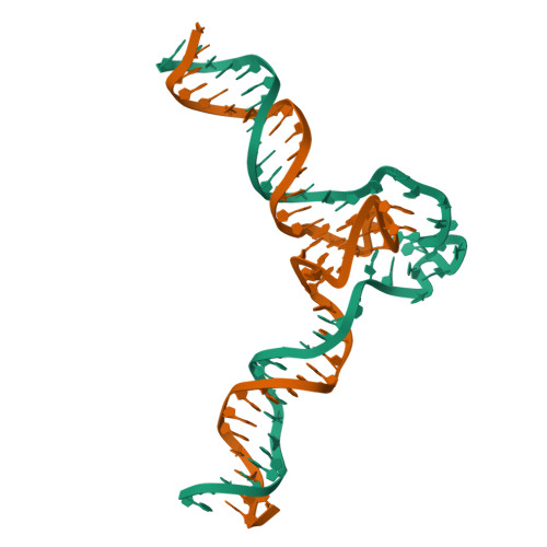 RCSB PDB - 8DUT: Duplex-G-quadruplex-duplex (DGD) class_1