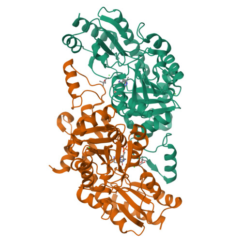 RCSB PDB - 8DUY: Crystal structure of Cystathionine beta-lyase from ...