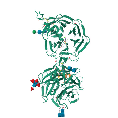 RCSB PDB - 8DVM: Crystal structure of LRP6 E3E4 in complex with ...
