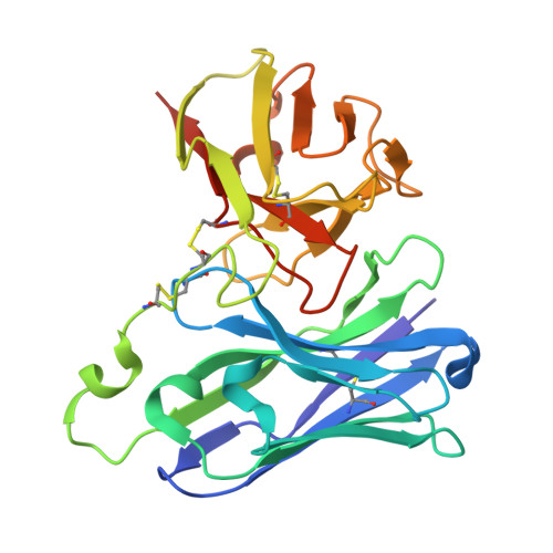 RCSB PDB - 8DY0: Crystal Structure of spFv GLK1 HL