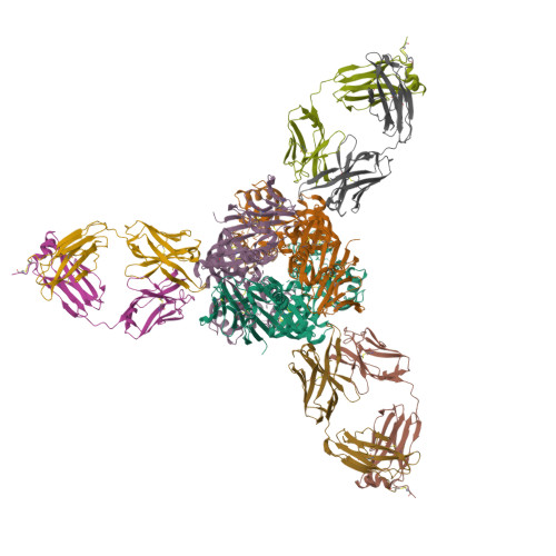 RCSB PDB - 8DZW: RSV F trimer bound to RSV-199 Fab