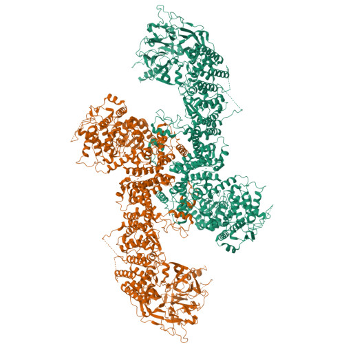 RCSB PDB - 8E0Q: Structure of the human UBR5 HECT-type E3 ubiquitin ...