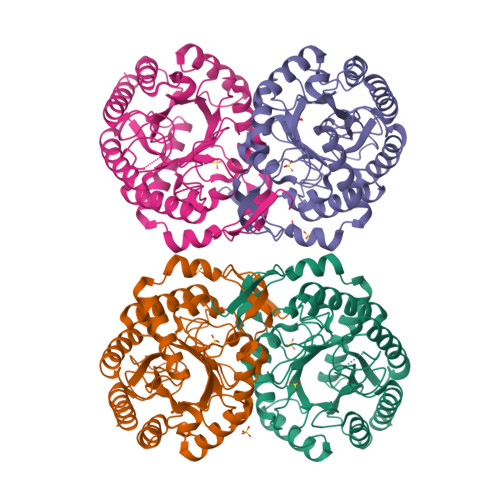RCSB PDB - 8E0U: DAHP (3-deoxy-D-arabinoheptulosonate-7-phosphate ...