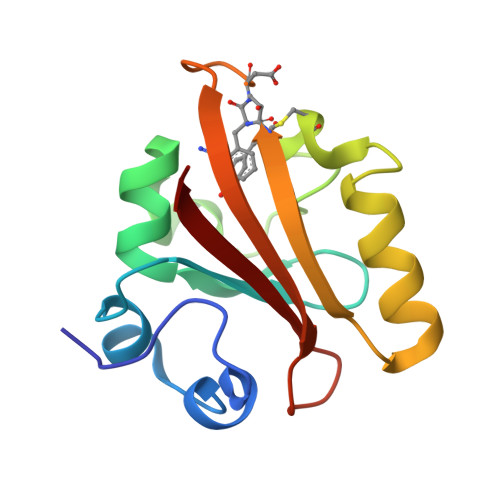 RCSB PDB - 8E1L: Crystal structure of photoactive yellow protein (PYP ...
