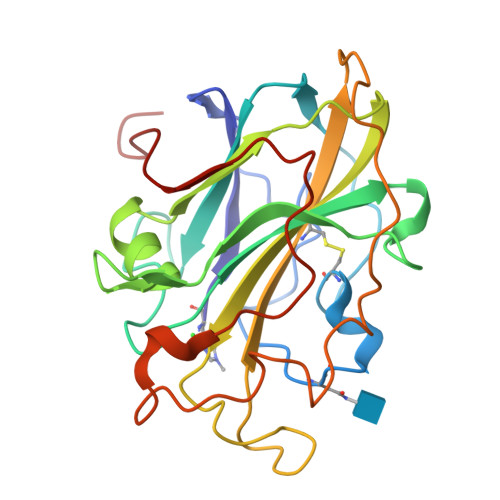 RCSB PDB - 8E1W: Neutron crystal structure of Panus similis AA9A at ...