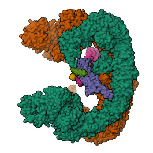 RCSB PDB - 8E2I: Cryo-EM structure of BIRC6/Smac