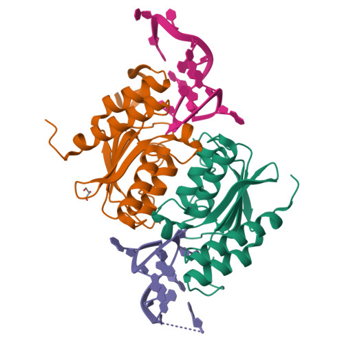 RCSB PDB - 8E2Q: Crystal structure of TadAC-1.17 in a complex with ssDNA