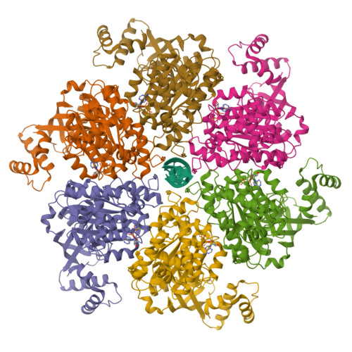 RCSB PDB - 8E3H: Escherichia coli Rho-dependent transcription pre ...