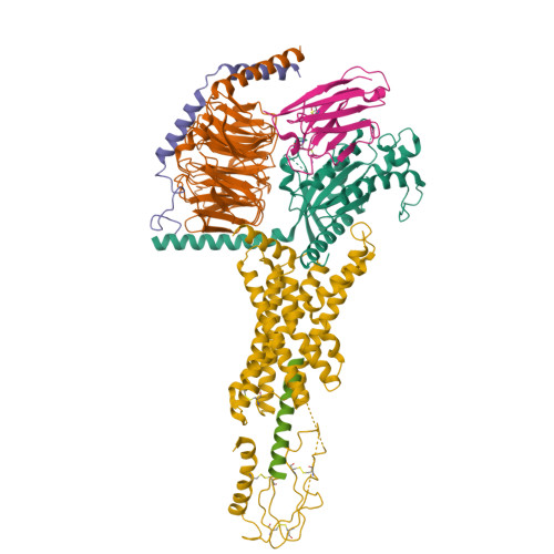 RCSB PDB - 8E3X: Cryo-EM structure of the PAC1R-PACAP27-Gs complex